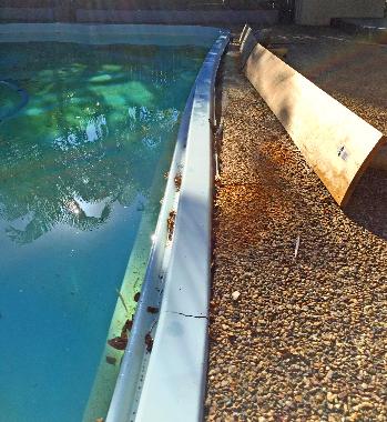 Pool Repair Services for Fibreglass and Concrete Pools Gold Coast